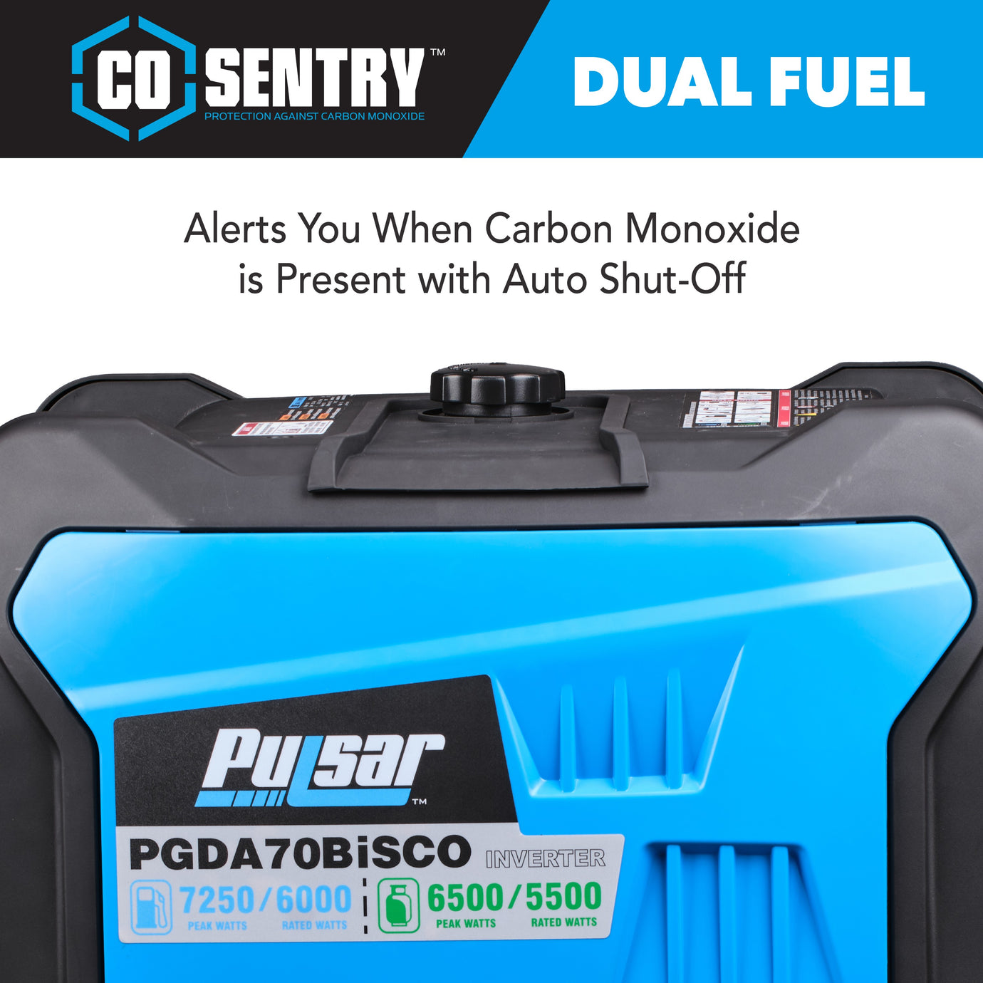 7,250 Watt Dual-Fuel Inverter Generator with CO Sentry PGDA70BiSCO ...