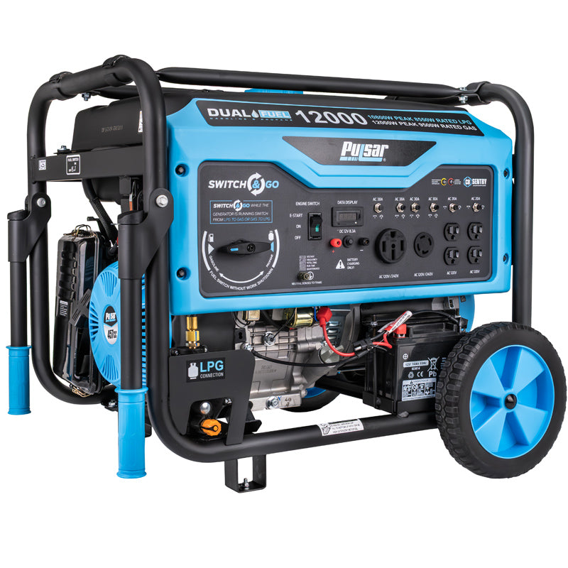 12,000 Watt Dual-Fuel Portable Generator with CO Sentry PG12000BCO ...